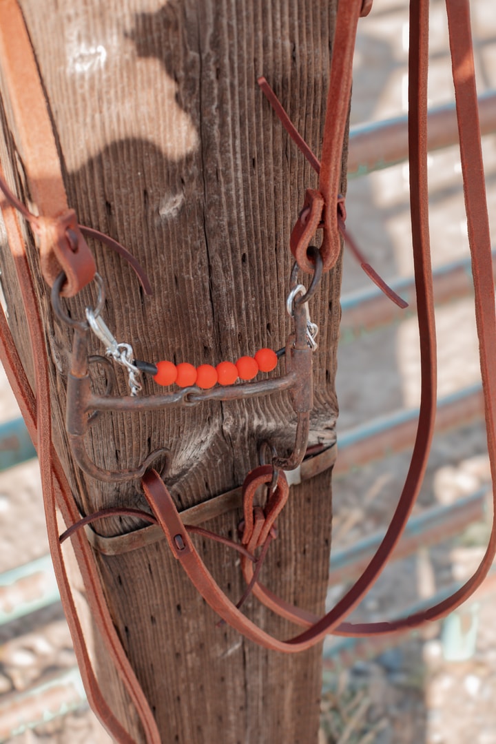 Tack and Halters – Phoenix Equine